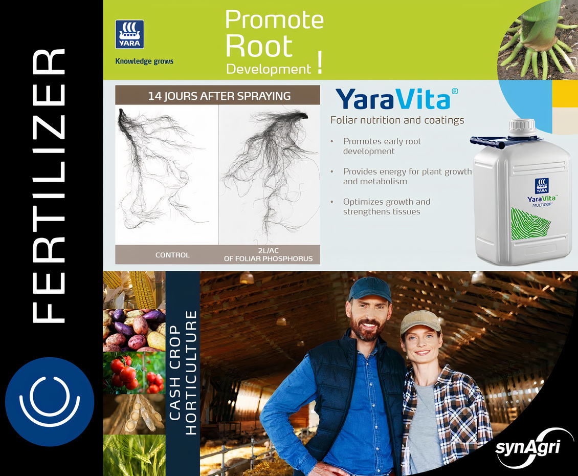 DEKALB Seed Guide – Corn and Soybeans 2021