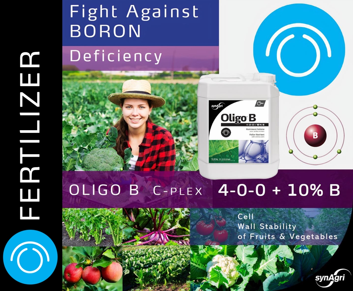 Foliar Fertilizer – Oligo B – 4-0-0 + 10% Bore – C-PLEX - Synagri