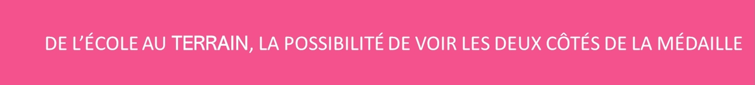 Stage Synagri 2022 – Agriculture – Témoignage – Angélique Hossay - Synagri