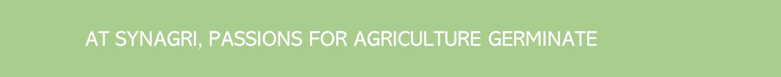 Synagri Internship 2022 – Agriculture – Testimony- Angélique Hossay ...