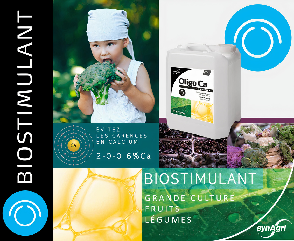 IP Soybeans Synagri Guide - Synagri